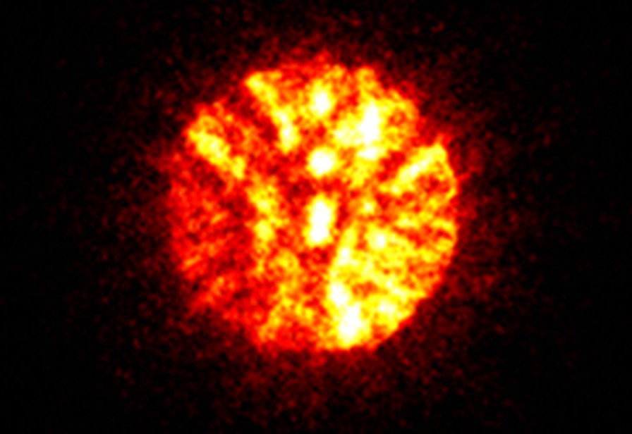 DECTRIS ELA - Hybrid-pixel detector for EELS and 4D STEM - Dectris