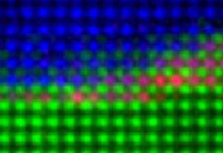 DECTRIS ELA - Hybrid-pixel detector for EELS and 4D STEM - Dectris