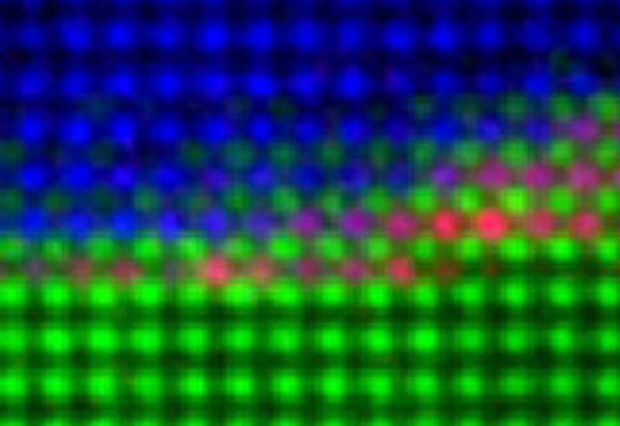 DECTRIS ELA - Hybrid-pixel detector for EELS and 4D STEM - Dectris