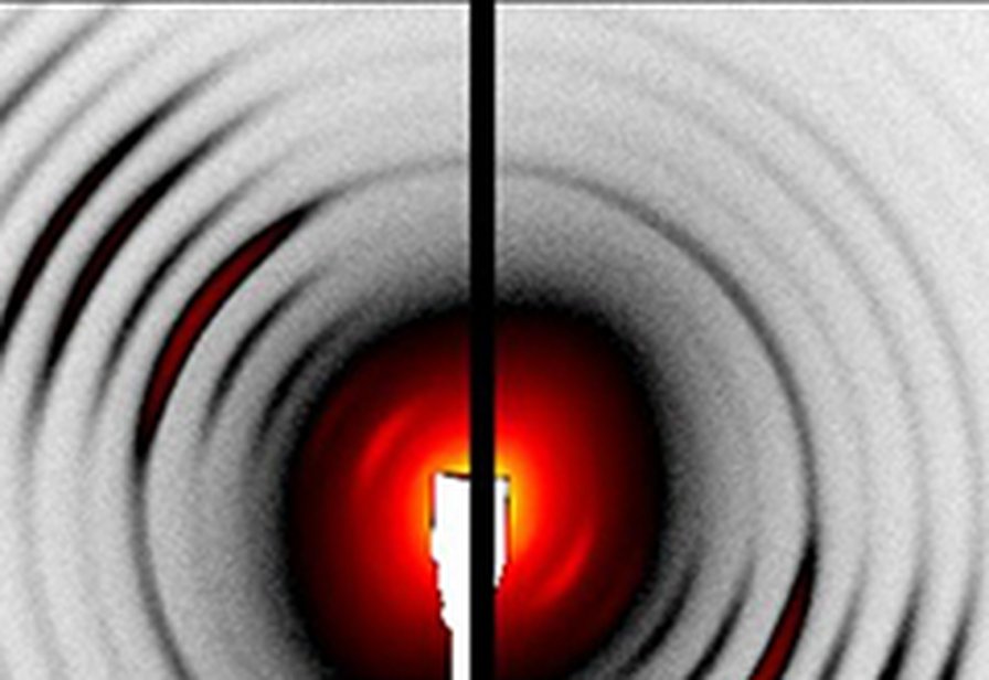Specific Solutions - Dectris